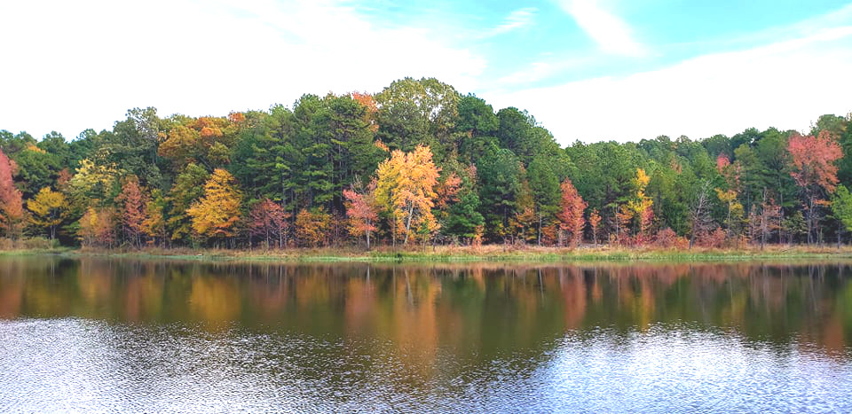 Contact - Good Shepherd Community